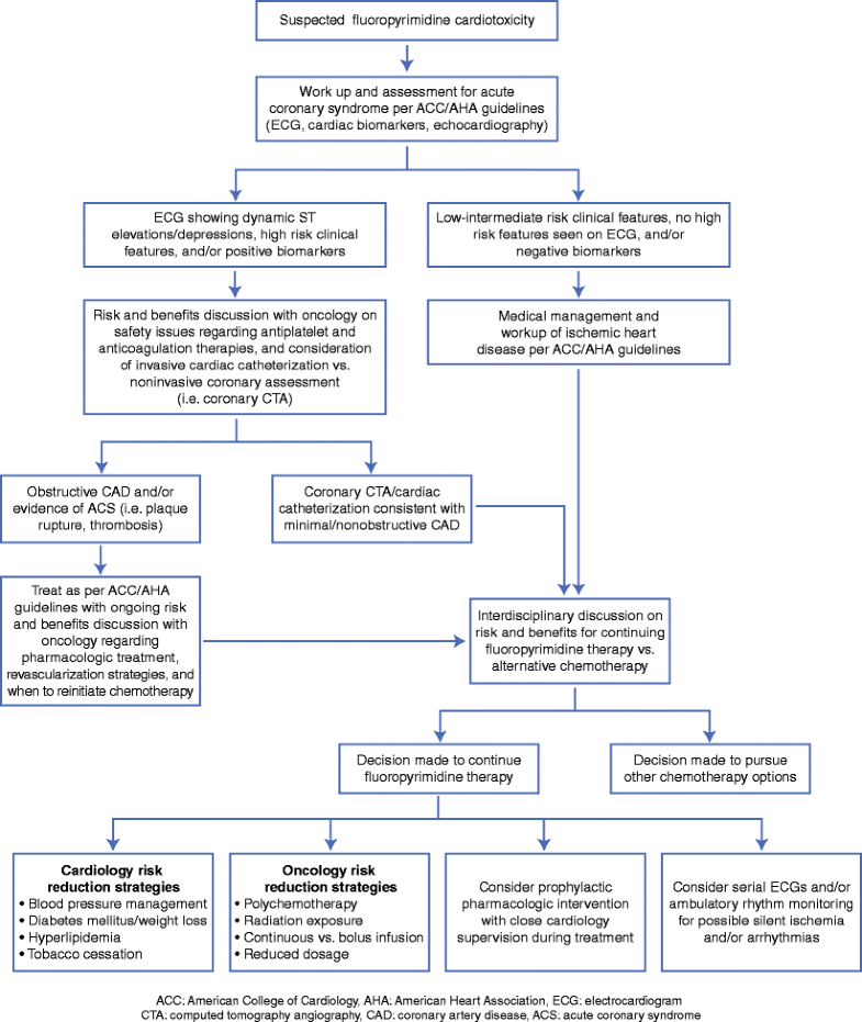 Fluoropyrimidine-Induced Cardiotoxicity: Manifestations, Mechanisms ...