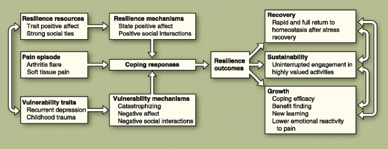 Resilience: A New Paradigm for Adaptation to Chronic Pain | SpringerLink