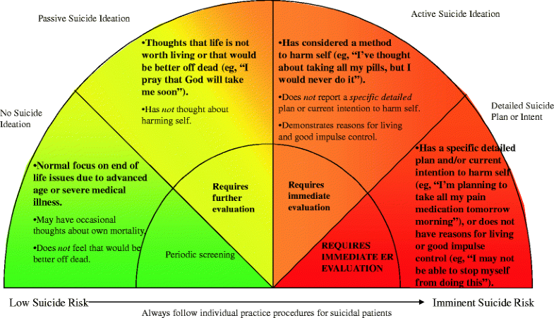 Suicide Risk in Primary Care: Identification and Management in Older ...