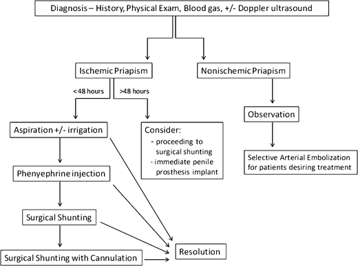 Priapism: an Update on Principles and Practices | SpringerLink