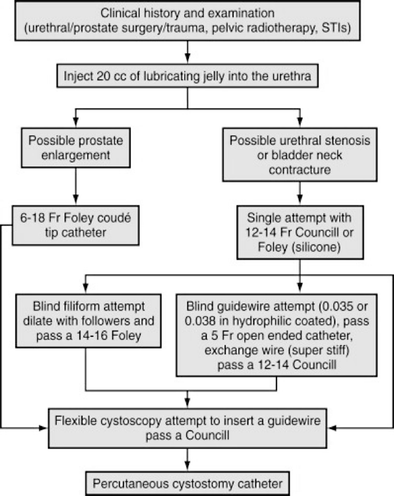 Urinary Catheterization: a Paradigm Shift in Difficult Urinary ...