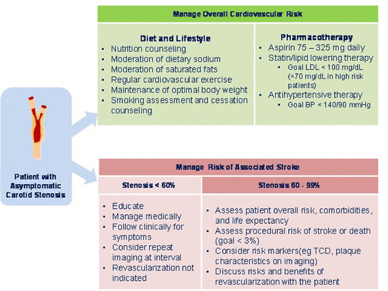 Management of Asymptomatic Carotid Artery Stenosis | SpringerLink