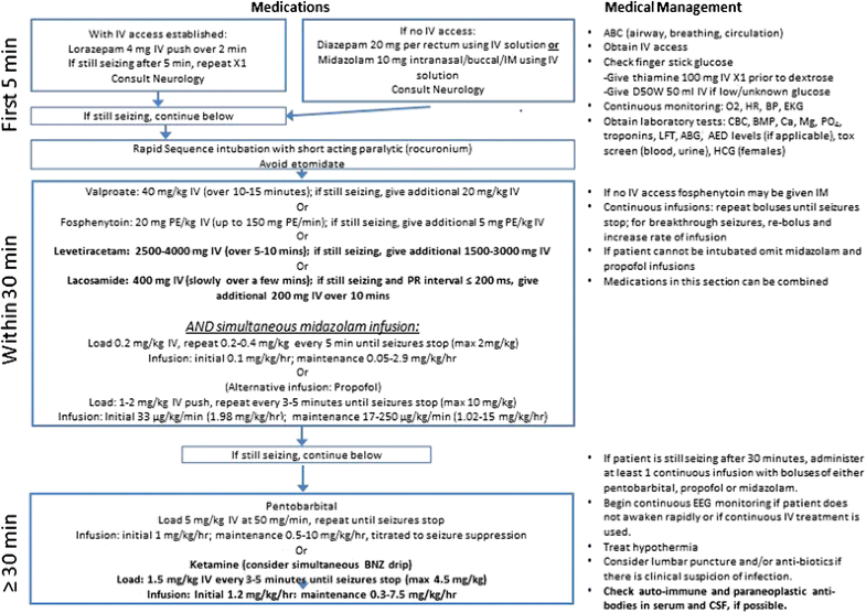 Treatment of Convulsive Status Epilepticus | SpringerLink