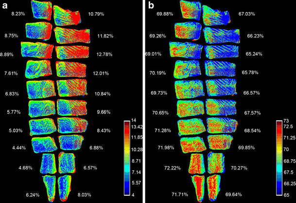 Mapping of Fat and Moisture Distribution in Atlantic Salmon Using Near ...