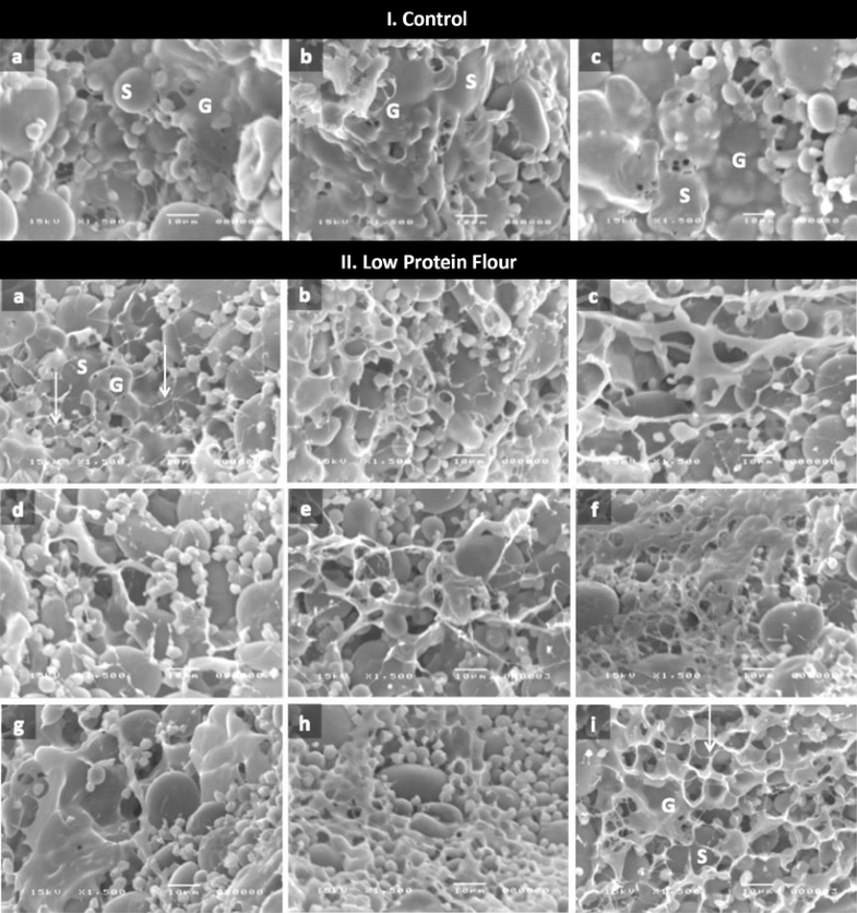 Impact of Flour Protein Content and Freezing Conditions on the Quality ...