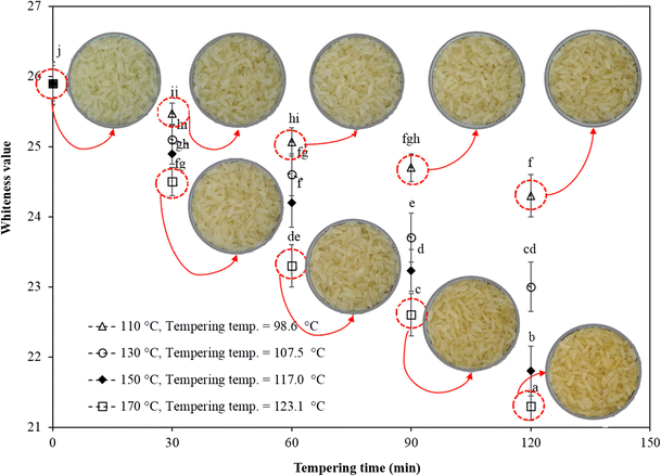 Process of Producing Parboiled Rice with Different Colors by Fluidized ...
