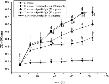 Chicken Egg Yolk Antibody (IgY) Controls Solobacterium moorei Under In ...