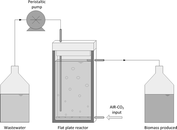 Cultivation of Chlorella protothecoides with Urban Wastewater in ...