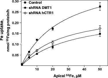 Iron, Copper, and Zinc Transport: Inhibition of Divalent Metal ...