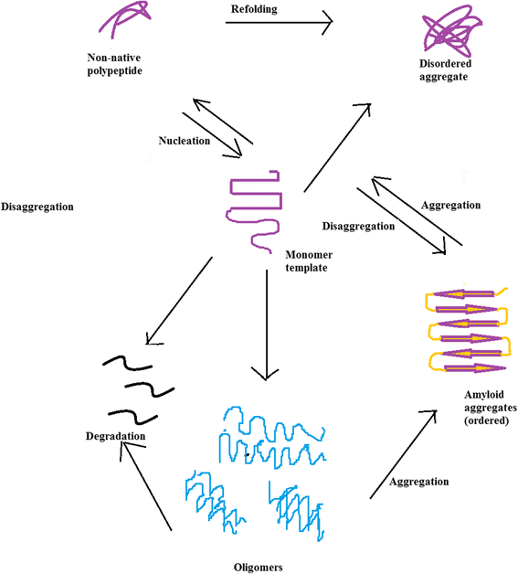 Protein Folding, Misfolding, Aggregation and Their Implications in ...