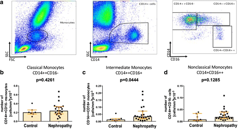 Elevated Numbers of Circulating Very Small Embryonic-Like Stem Cells ...