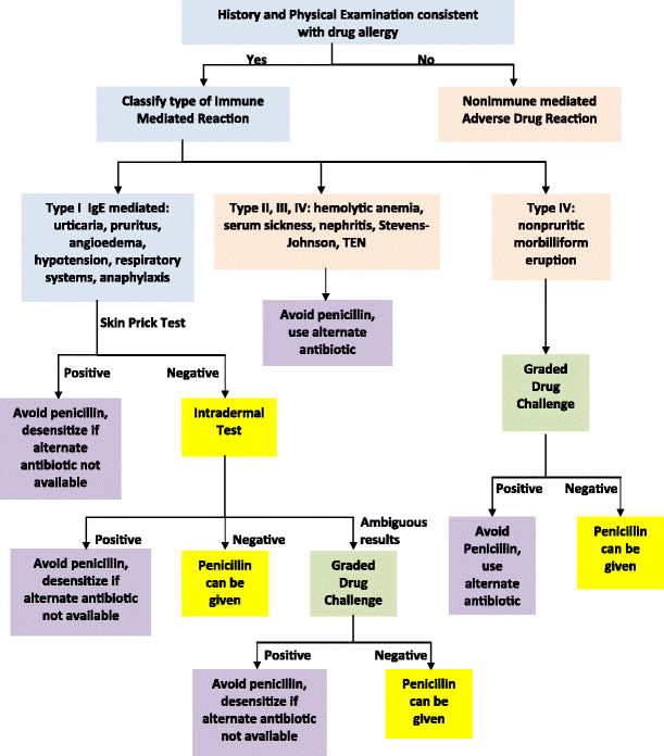 Overview of Penicillin Allergy | SpringerLink