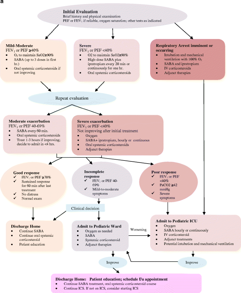 Evaluation and Treatment of Critical Asthma Syndrome in Children ...