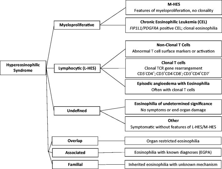 Hypereosinophilic Syndrome | SpringerLink
