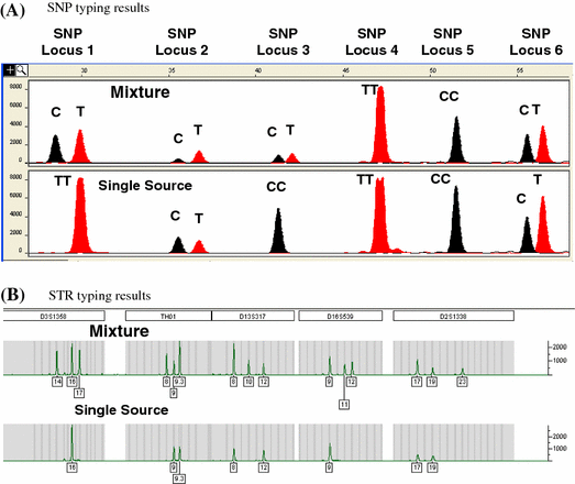 STRs vs. SNPs: thoughts on the future of forensic DNA testing ...