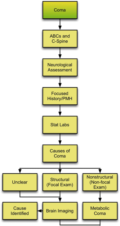 Emergency Neurological Life Support: Approach to the Patient with Coma ...