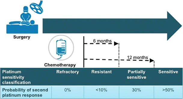 A brief review of the management of platinum-resistant–platinum ...