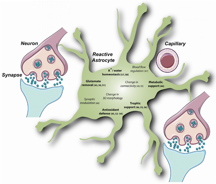 Targeted Activation of Astrocytes: A Potential Neuroprotective Strategy ...