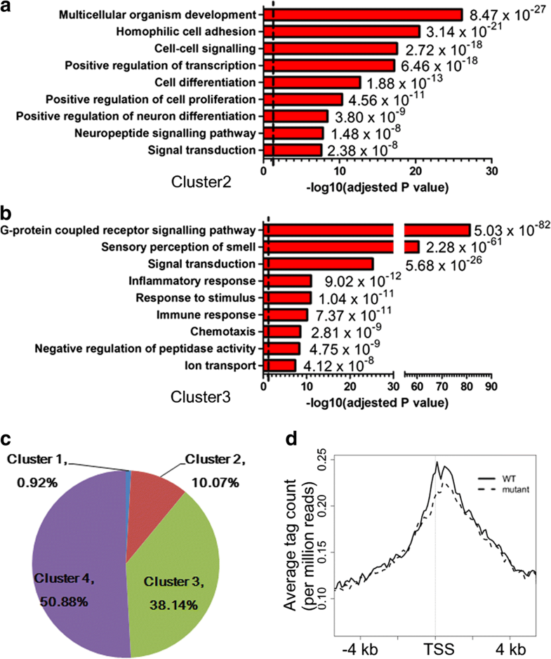 TSPYL2 Regulates the Expression of EZH2 Target Genes in Neurons ...