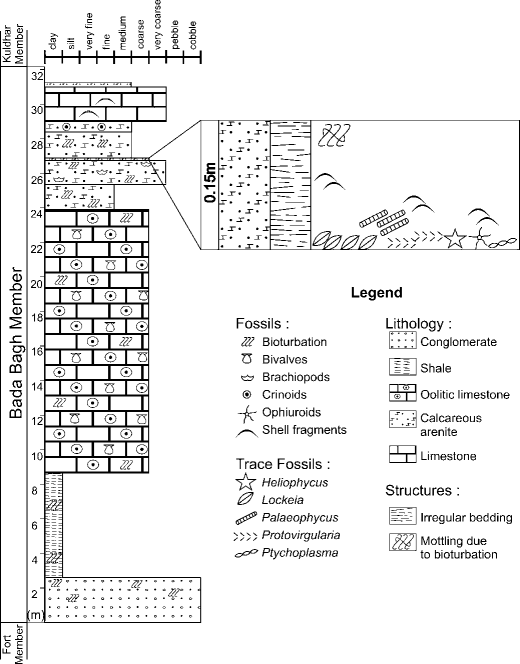 Significance of Lockeia and associated trace fossils from the Bada Bagh ...