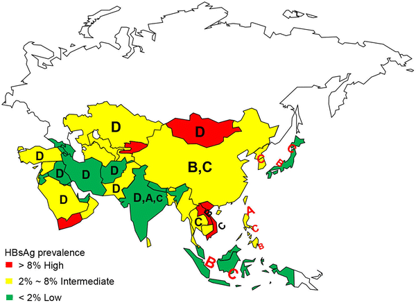 Hepatitis B virus genotypes: epidemiological and clinical relevance in ...