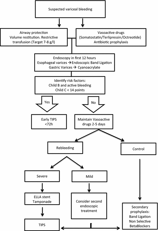 Acute variceal bleeding: risk stratification and management (including ...