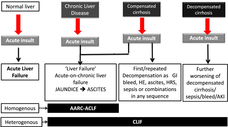 Acute-on-chronic liver failure: consensus recommendations of the Asian ...