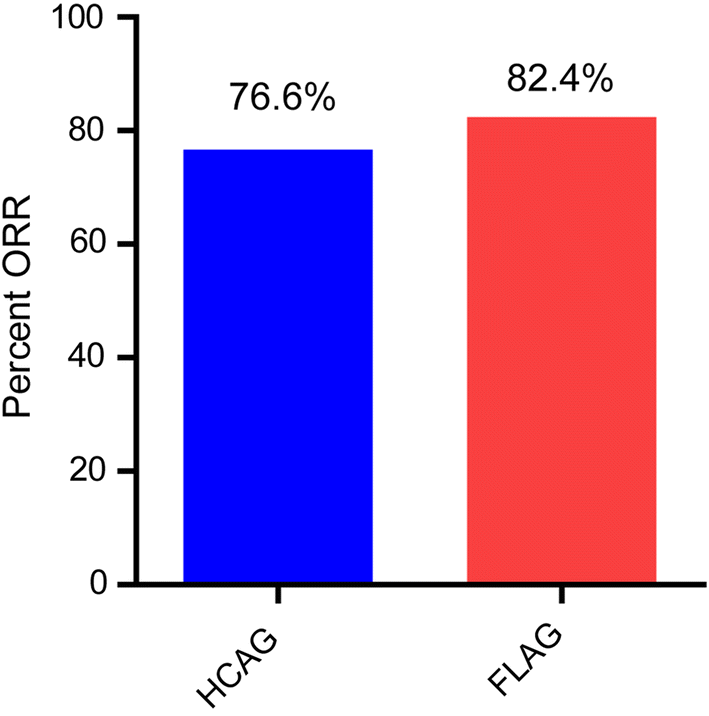 Comparison of efficacy of HCAG and FLAG re-induction chemotherapy in ...