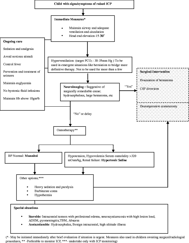 Management of Raised Intracranial Pressure | SpringerLink
