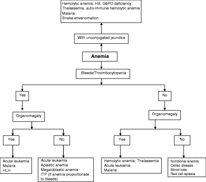 Common Hematological Disorders in Children | SpringerLink