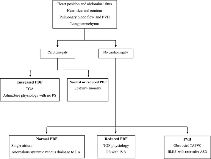 Clinical Approach to a Neonate with Cyanosis | SpringerLink