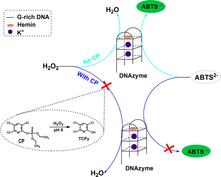 Acetylcholinesterase-Free Colorimetric Detection of Chlorpyrifos in ...