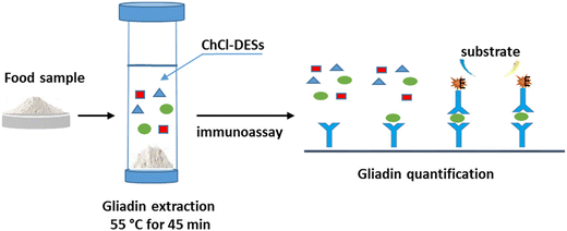 An Effective Gluten Extraction Method Exploiting Pure Choline Chloride ...