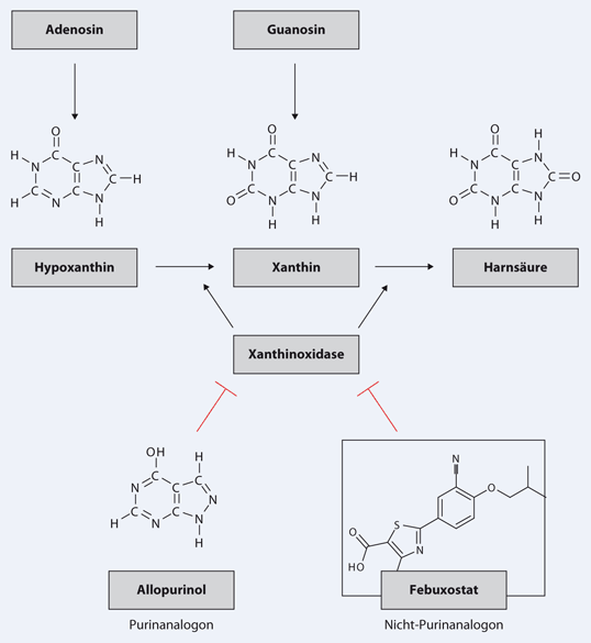 Febuxostat, ein neues Pharmakon zur Behandlung der Gicht | SpringerLink
