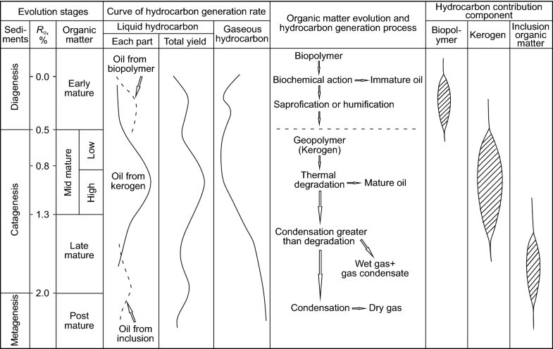 A review of carbonates as hydrocarbon source rocks: basic geochemistry ...