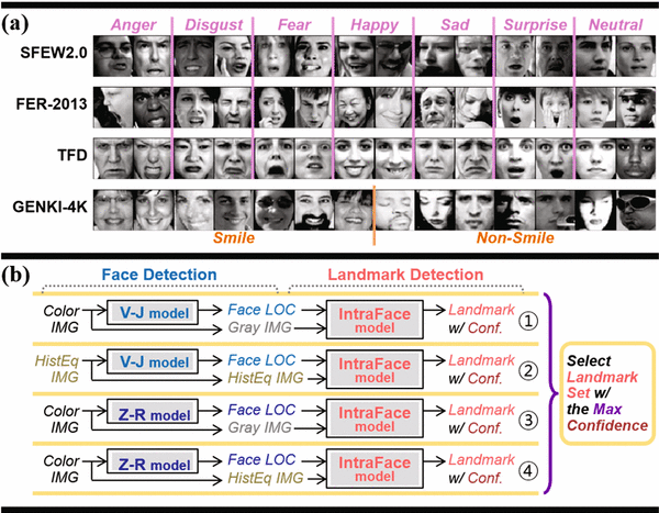 Hierarchical committee of deep convolutional neural networks for robust ...