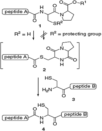 Progress in Chemical Synthesis of Peptides and Proteins | SpringerLink