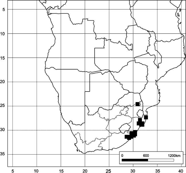 A monographic study of the Oliniaceae | SpringerLink