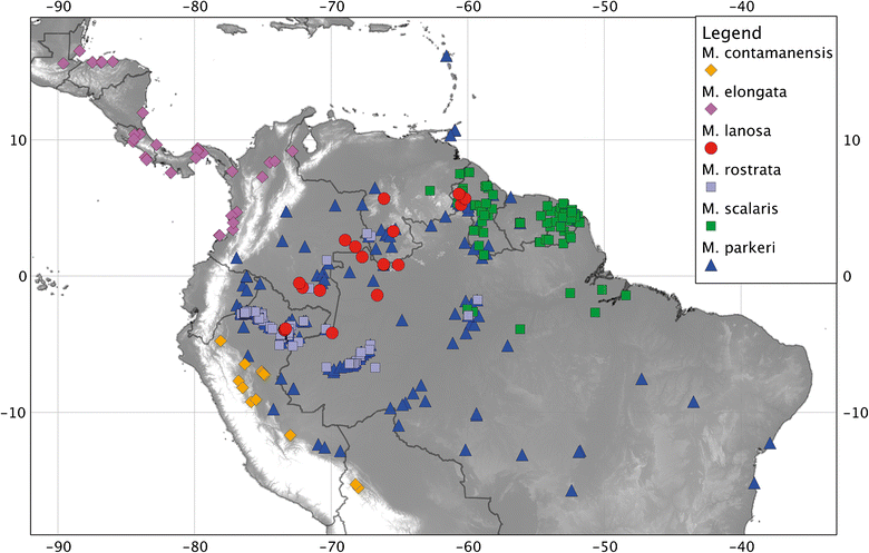 Newly discovered diversity in the tropical fern genus Metaxya based on ...