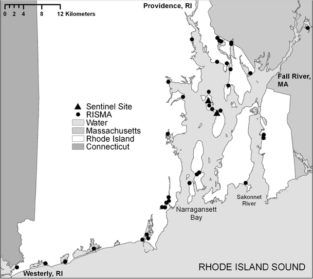 Vegetation Dynamics in Rhode Island Salt Marshes During a Period of ...