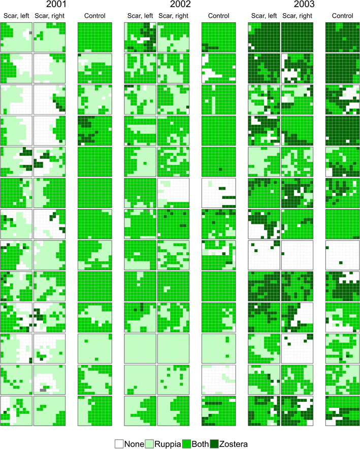 Boat Propeller Scarring of Seagrass Beds in Lower Chesapeake Bay, USA ...