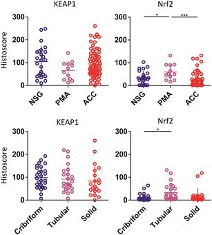 Expression of LC3, LAMP2, KEAP1 and NRF2 in Salivary Adenoid Cystic ...
