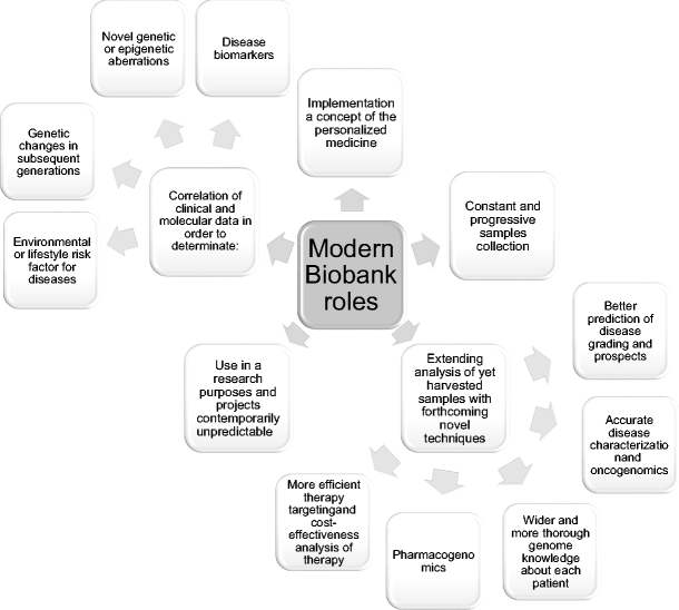 Aspects of Modern Biobank Activity – Comprehensive Review | SpringerLink