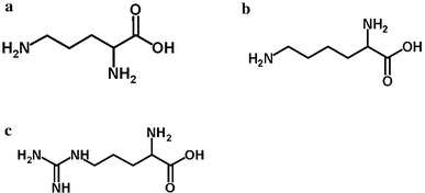 Determination of plasma dibasic amino acids following trimethylsilyl ...