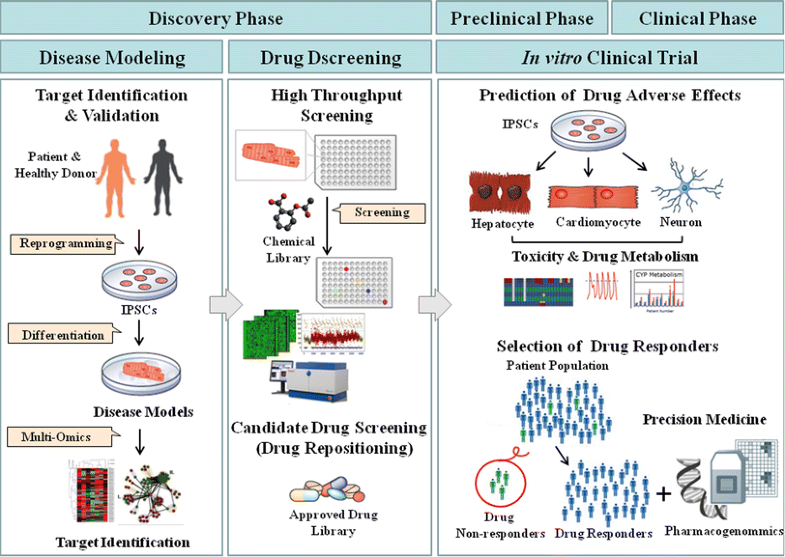 A new era of disease modeling and drug discovery using induced pluripotent stem cells | SpringerLink