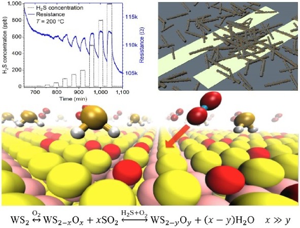Ultrasensitive H2S gas sensors based on p-type WS2 hybrid materials ...