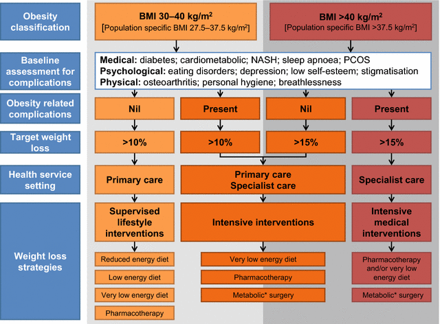 Managing Obesity in Primary Care: Breaking Down the Barriers | SpringerLink