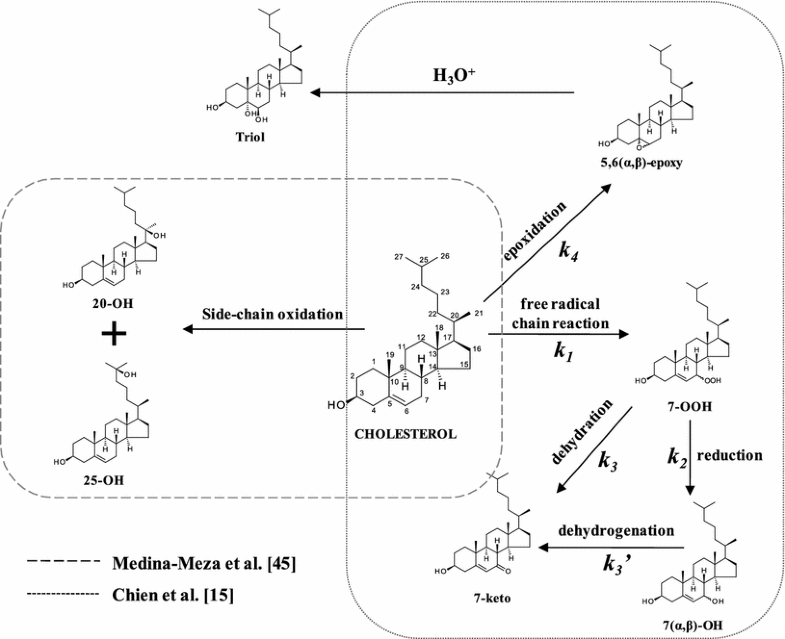 Kinetics of Cholesterol Oxidation in Model Systems and Foods: Current ...