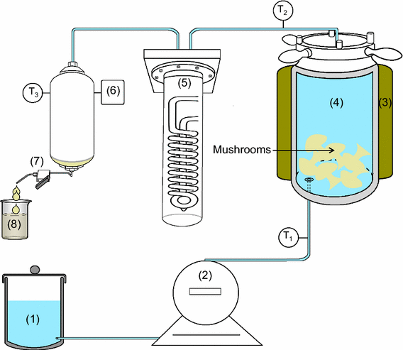 Application of Non-conventional Extraction Methods: Toward a ...