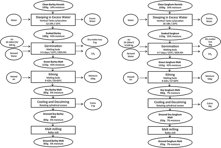 Technological and Engineering Trends for Production of Gluten-Free ...